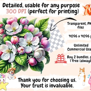 Apple Blossoms Clipart - 34 PNG Blossom Illustrations, Spring Floral ...