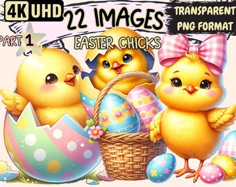 Easter Chicks Clipart – Spring Bird PNG Graphics (digital Download) - Etsy