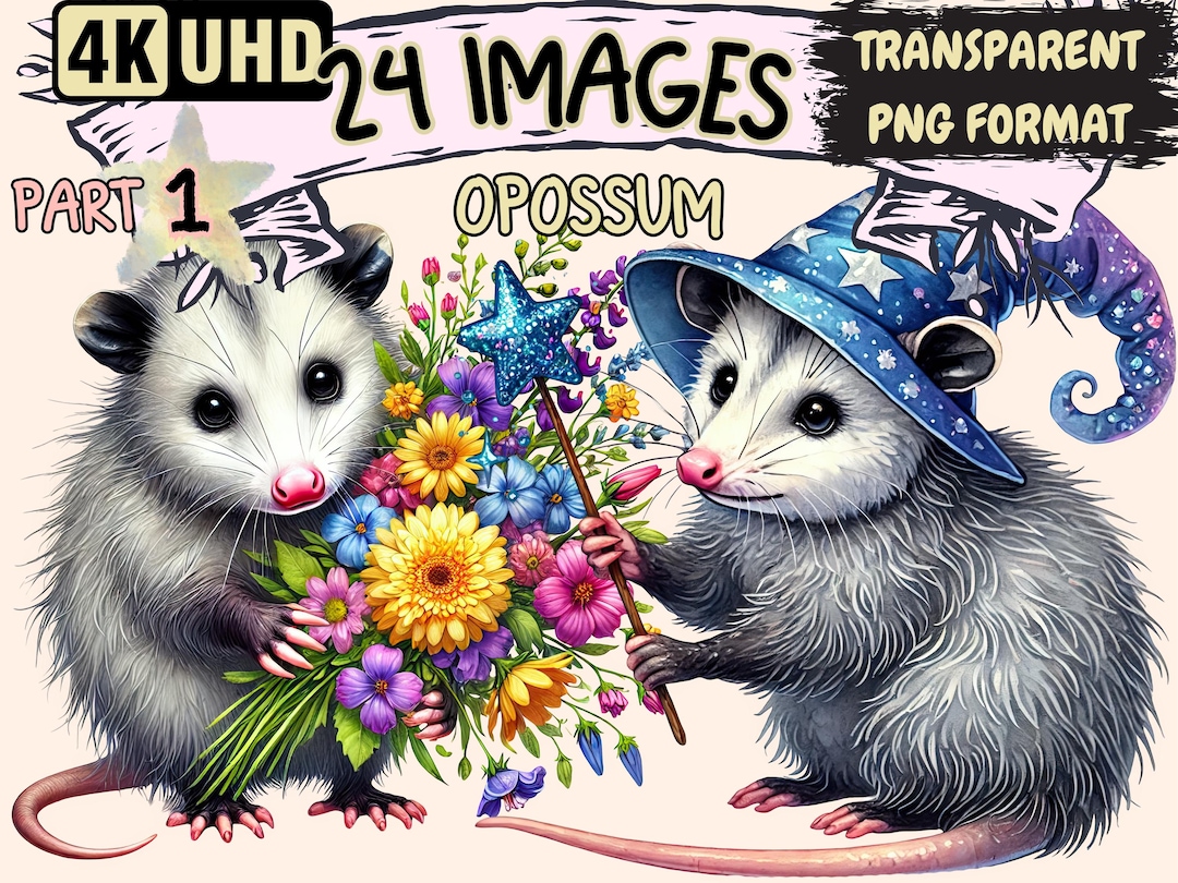 Opossum Clipart - 24 PNG Cute Opossum Graphics, Adorable Animal ...
