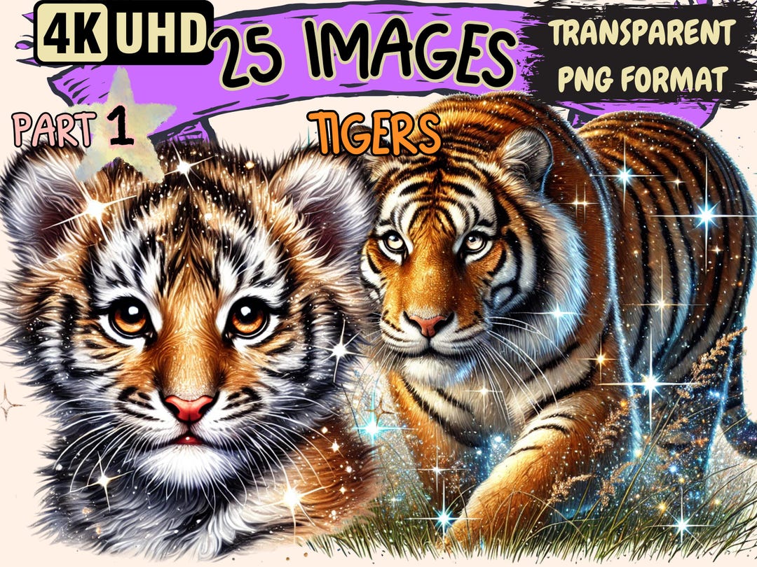 Tiger Clipart – 25 PNG Striking Jungle Cat Illustrations (digital ...