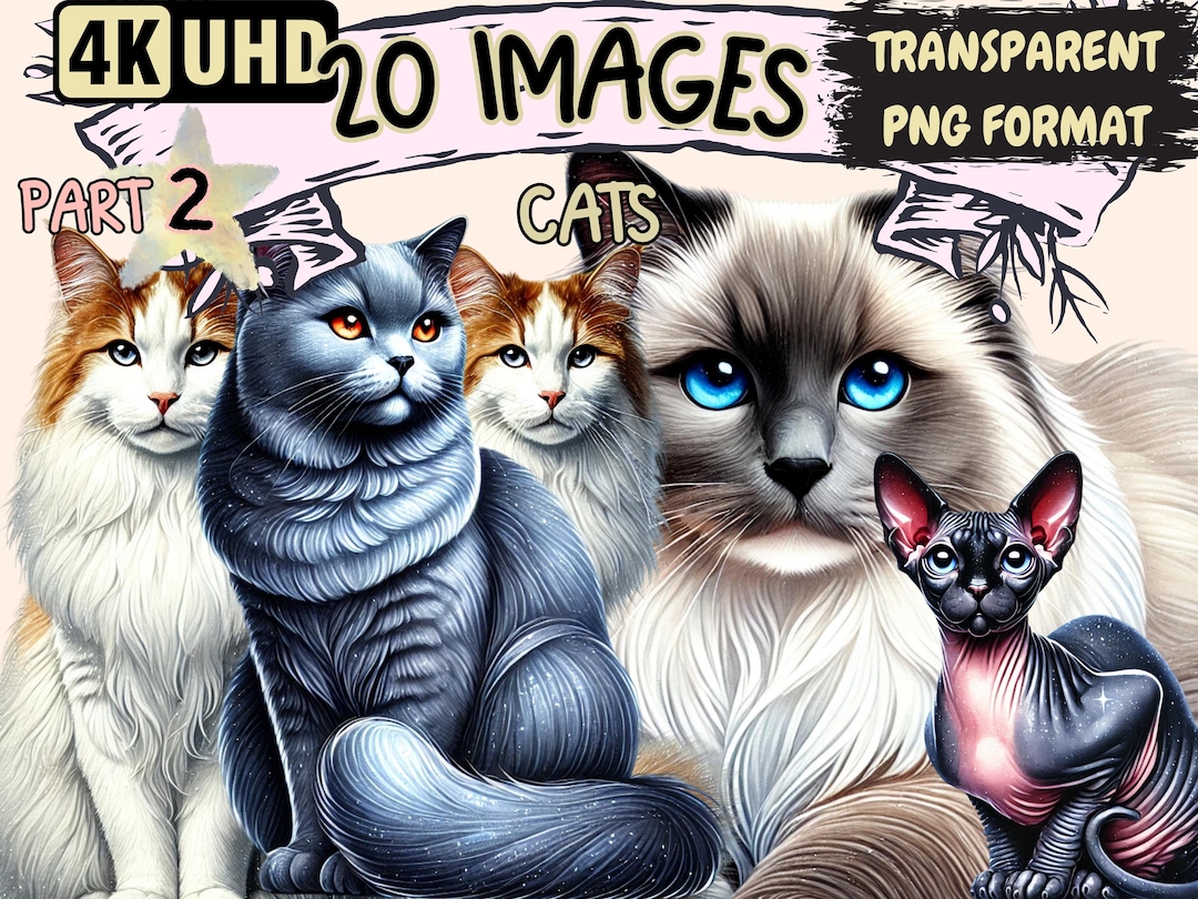 Sleek Feline Clipart – 20 Elegant Cat PNG Illustrations (digital ...
