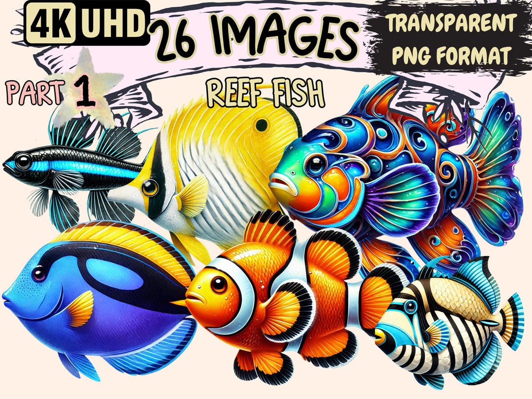 Reef Fish Clipart - 26 PNG Colorful Marine Life Illustrations, Ocean ...
