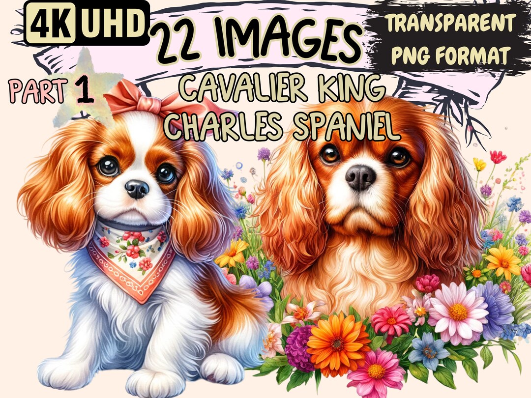 Cavalier King Charles Spaniel Clipart – 22 PNG Dog Graphics (digital ...