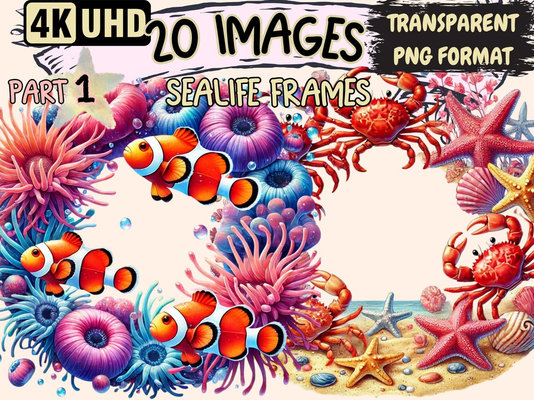 Sealife Frames Clipart 20 PNG Ocean Frame Graphics, Underwater Border ...