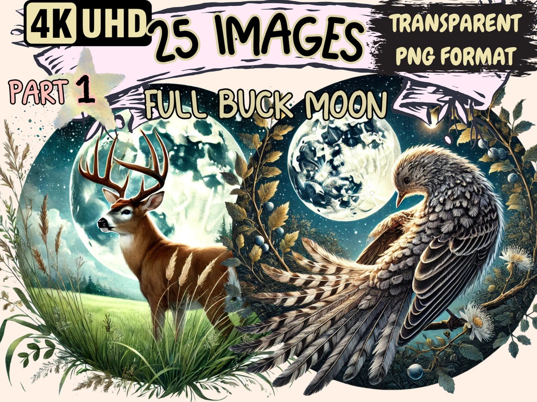 Full Buck Moon Clipart - 25 PNG Lunar Illustrations, Farmer's Almanac ...
