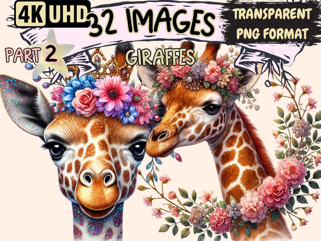 Giraffes P2 Clipart 32 PNG Tall Safari Animal Illustrations, Wildlife ...