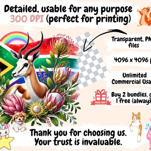 South African Springboks Clipart 28 PNG Rugby Illustrations, Team ...