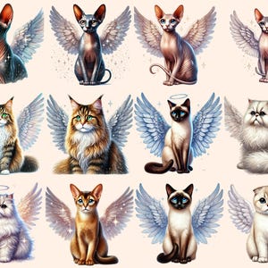 Angelic Cats Clipart - 24 PNG Heavenly Kitty Illustrations, Whimsical ...