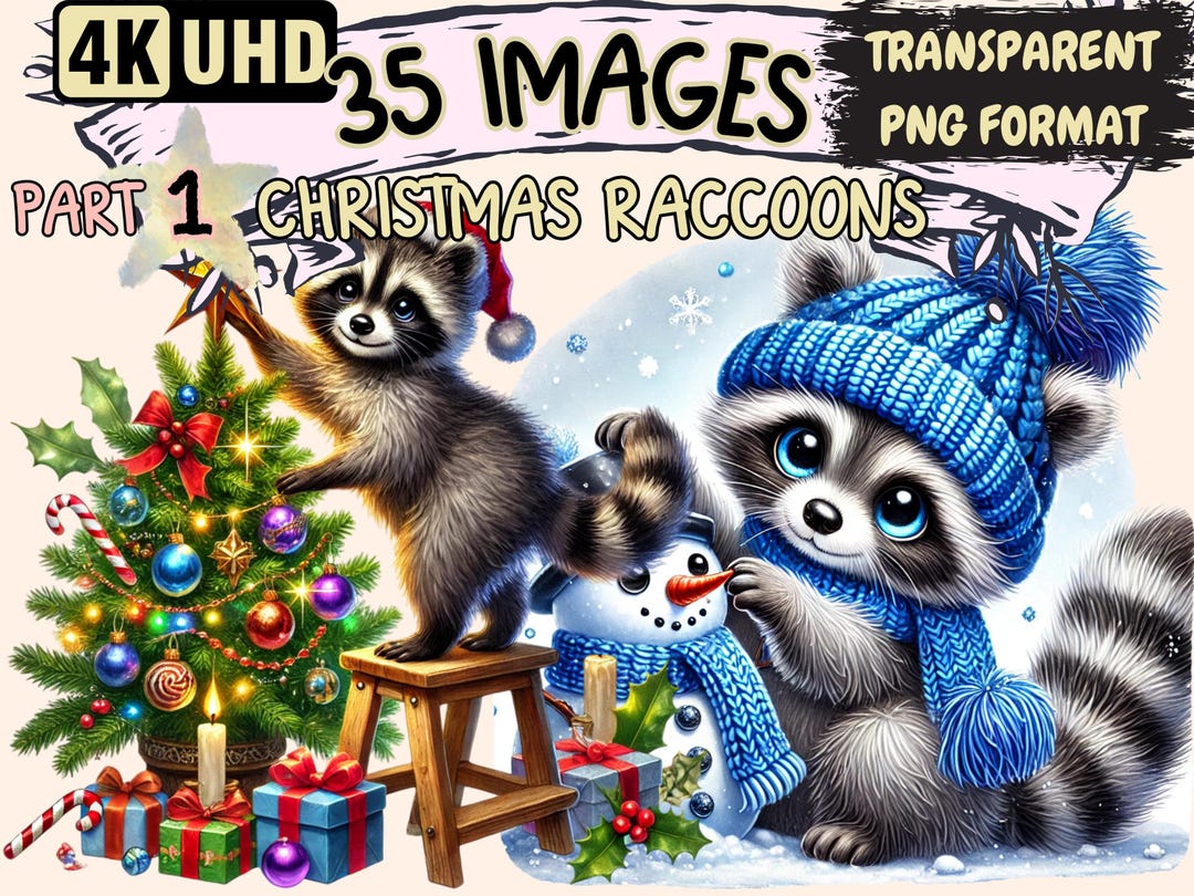 Christmas Raccoons Clipart - 35 PNG Festive Raccoon Illustrations ...