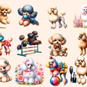 Poodles Clipart - 20 PNG Cute Poodle Graphics, Stylish Dog Printables ...