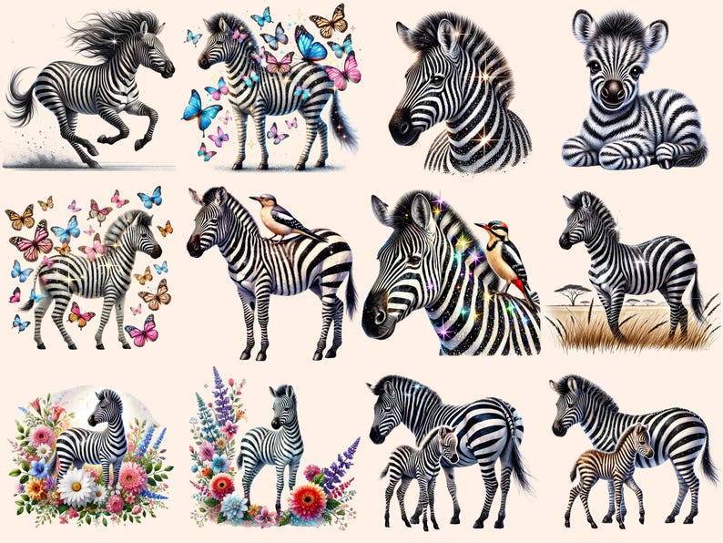 Zebra Clipart – Striped Animal PNG Illustrations, Safari Wildlife Art ...