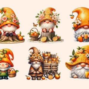 Orange Fruit Gnomes Clipart - 30 PNG Citrus Gnome Graphics, Colorful ...
