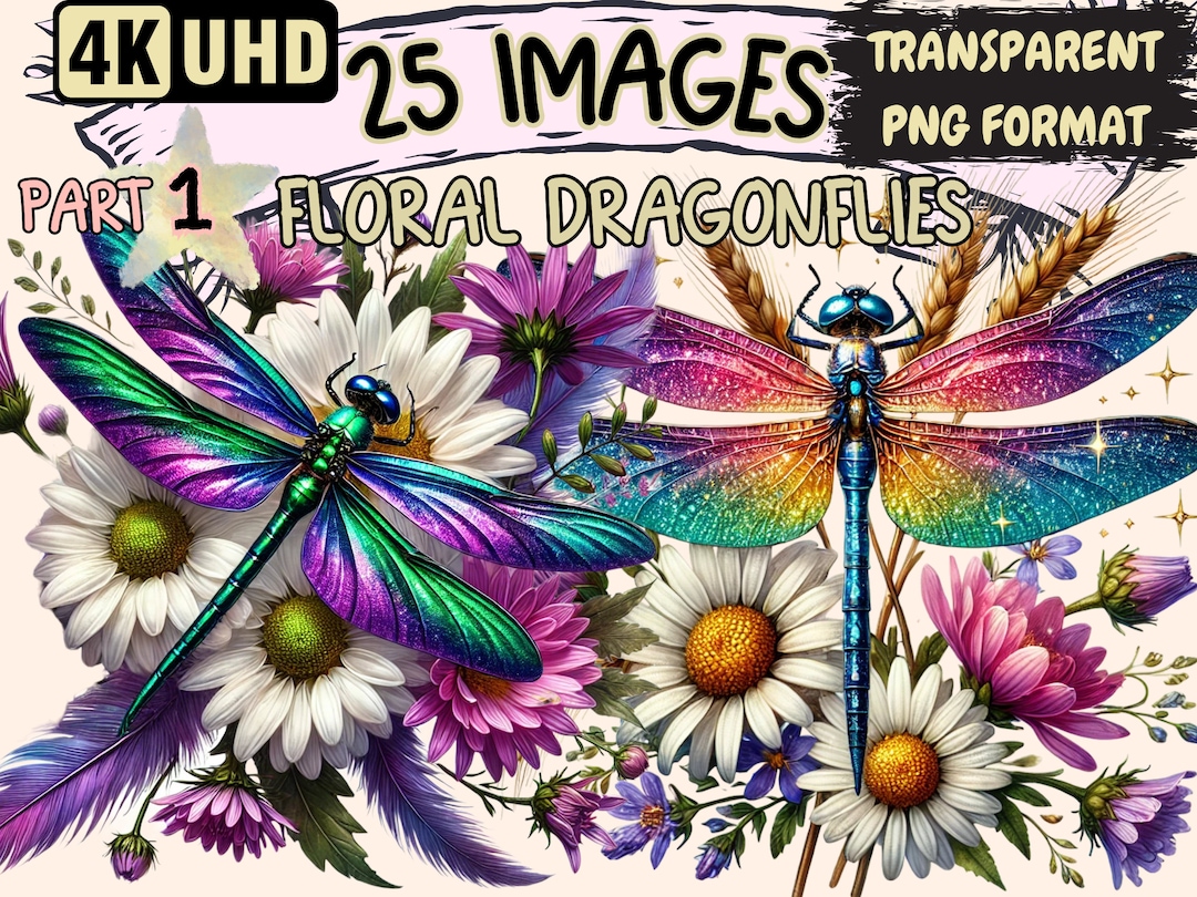 Floral Dragonfly Clipart – 25 PNG Illustrations, Nature Art (digital ...