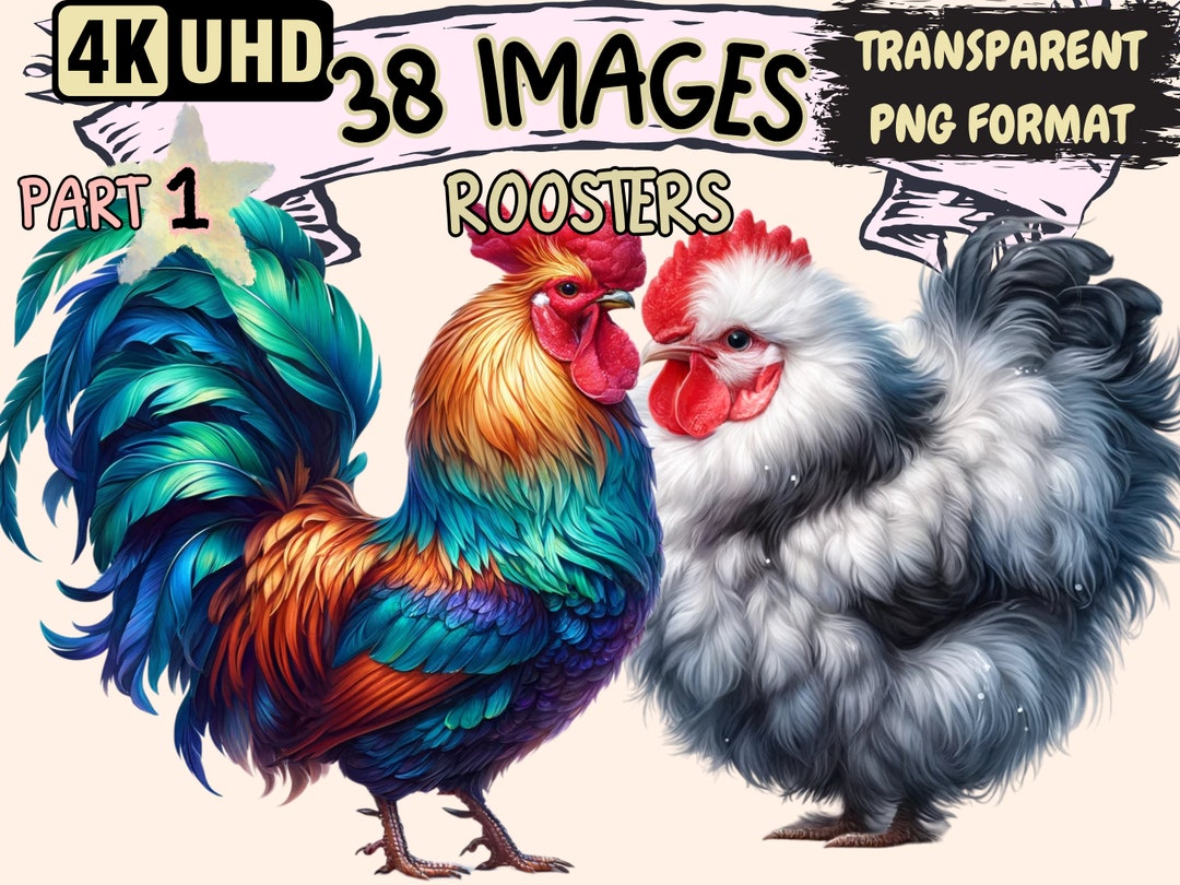 Roosters Clipart - 38 PNG Vibrant Rooster Graphics, Cute Farmhouse ...
