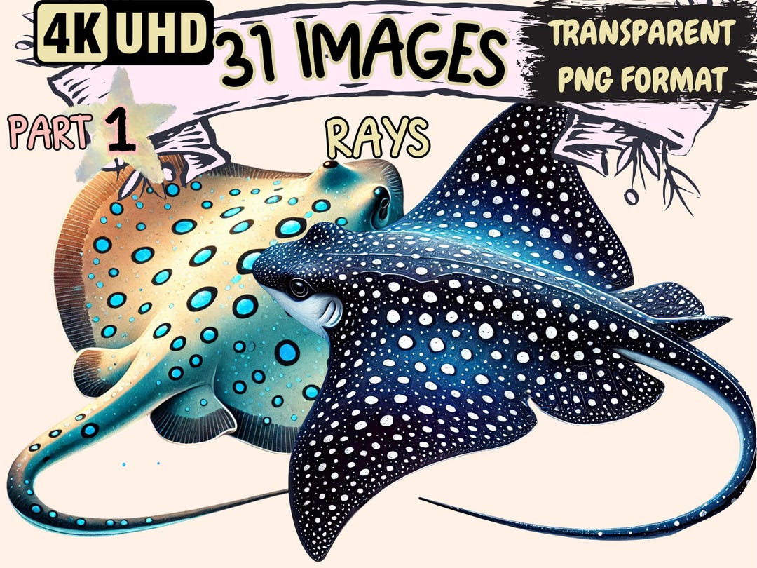 Rays Clipart - 31 PNG Elegant Ray Fish Illustrations, Ocean-themed Art ...