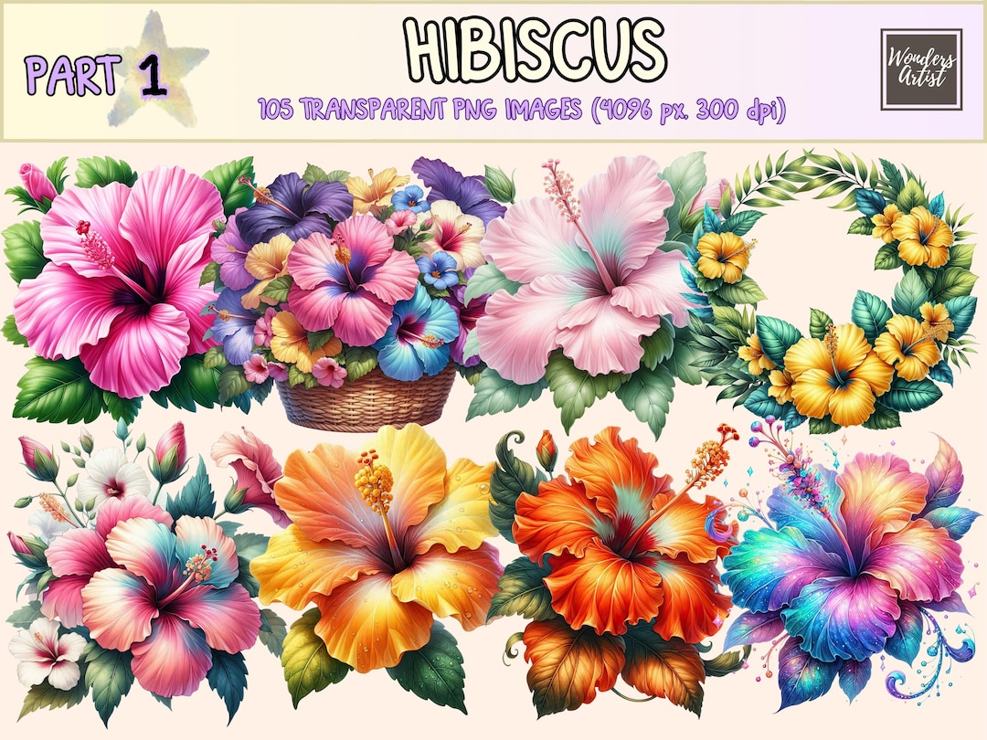 Hibiscus Clipart – 105 Tropical Flower PNG Graphics, Commercial Use ...