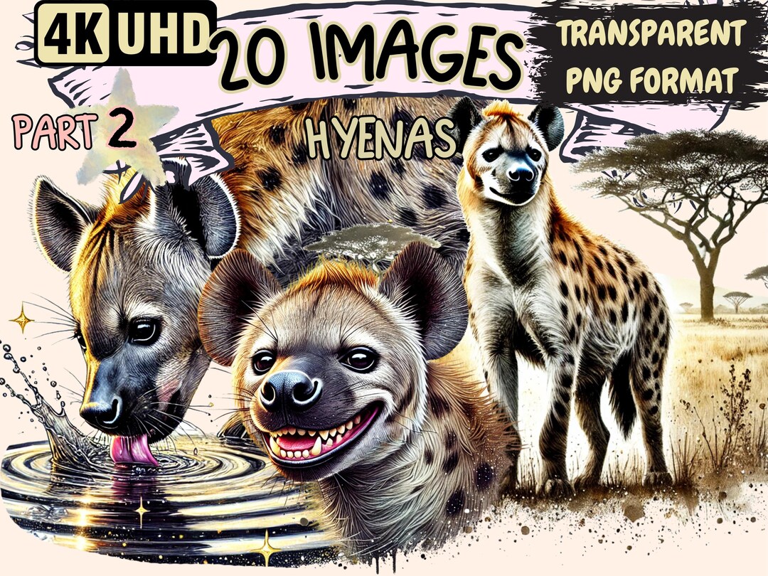 Hyenas (P2) Clipart - 20 PNG Wild Animal Illustrations, Safari Animals ...