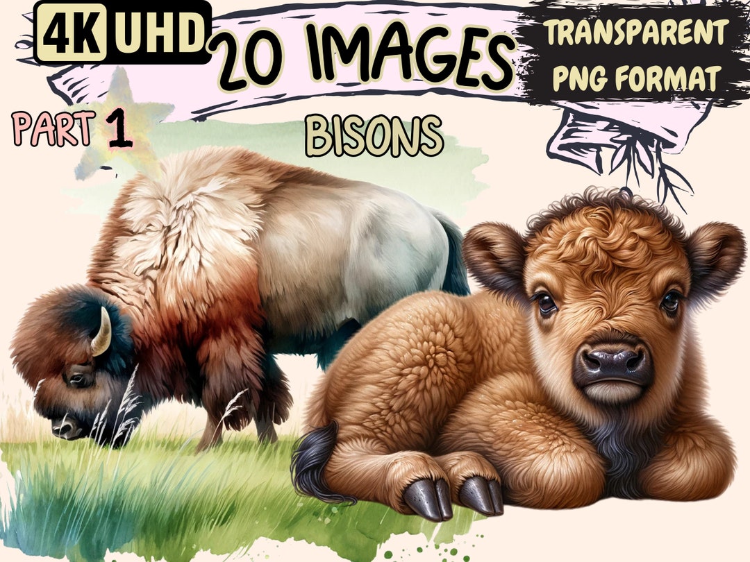 Bisons Clipart - 20 PNG Majestic Bison Graphics, Wildlife Printables ...