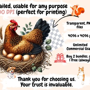 Chickens & Roosters Clipart - 24 PNG Vibrant Poultry Graphics, Farm ...