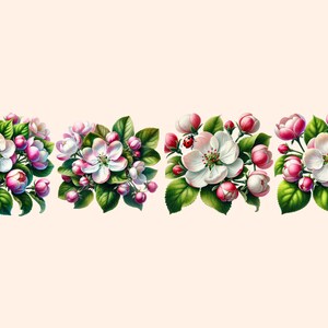 Apple Blossoms Clipart - 34 PNG Blossom Illustrations, Spring Floral ...