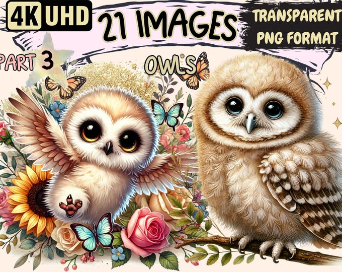 Owls (P3) Clipart - 21 PNG Nocturnal Bird Illustrations, Cute Adorable ...