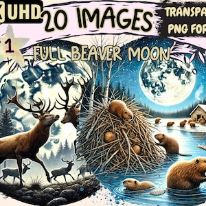 Full Beaver Moon Clipart – 20 PNG Lunar Illustrations (digital Download ...