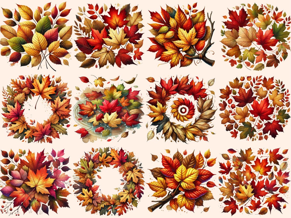 Autumn Leaves Clipart – 32 Fall Foliage PNG Illustrations (digital ...