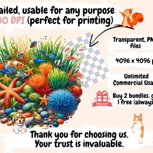 Tidepools Clipart – 24 PNG Marine Graphics, Sea Printables (digital ...
