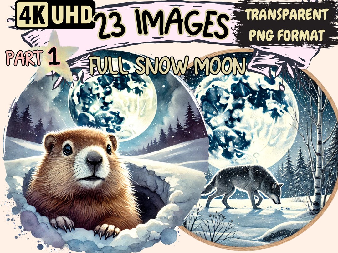 Snow Moon Clipart – 23 PNG Lunar Illustrations (digital Download) - Etsy