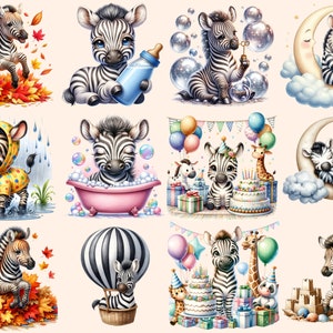 Baby Zebras Clipart - 27 PNG Adorable Zebra Graphics, Cute Printables ...