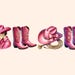 Pink Cowgirls Clipart - Western Rodeo Illustrations (PNG Digital ...