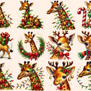 Christmas Giraffes Clipart - 25 PNG Festive Giraffe Illustrations ...