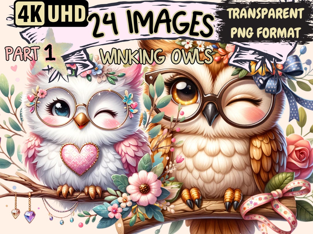 Winking Owls Clipart – Playful PNG Graphics, Commercial Use (digital ...