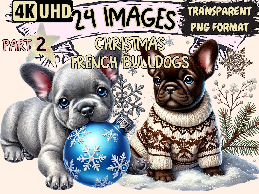 Christmas French Bulldogs (P2) Clipart - 24 PNG Festive Dog ...
