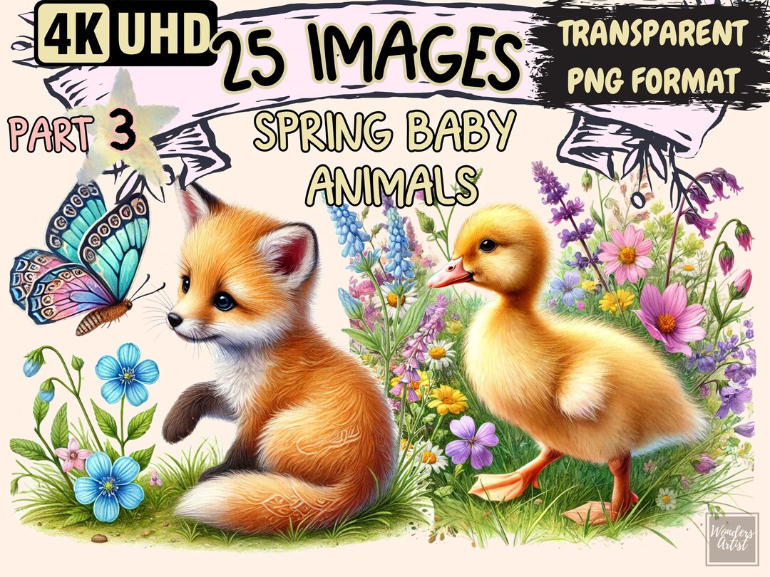 Spring Baby Animals (P3) Clipart - 25 PNG Cute Wildlife Graphics ...