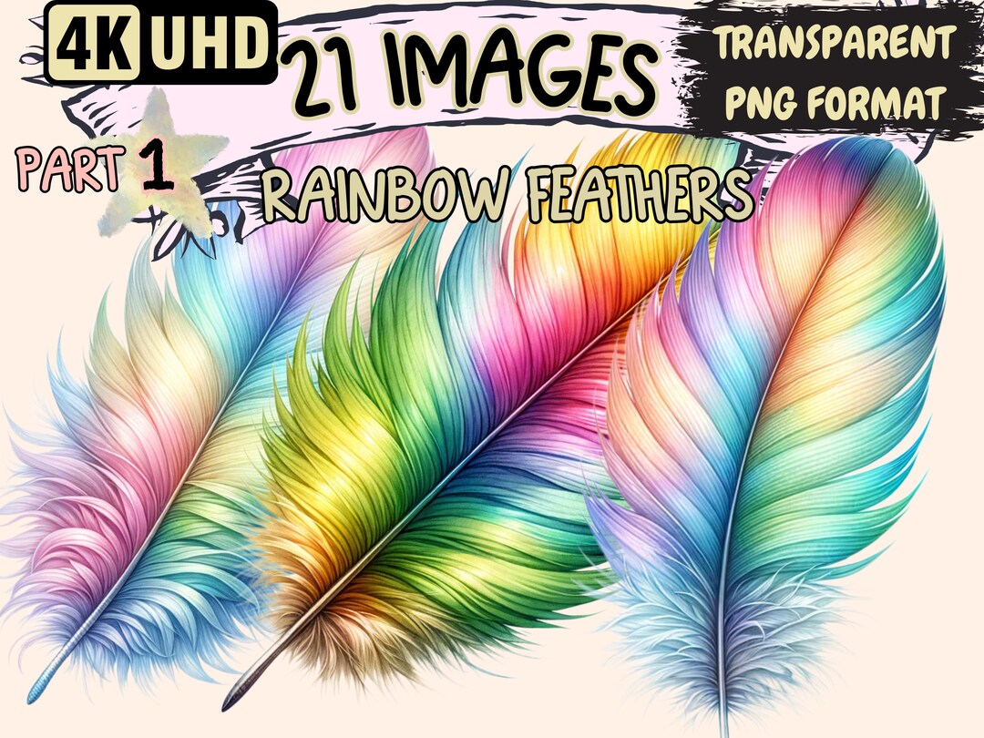 Rainbow Feathers Clipart - 21 PNG Colorful Feather Graphics, Vibrant ...