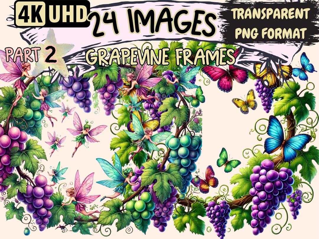 Grapevine Frames (P2) Clipart - 24 PNG Vine-themed Border Illustrations ...