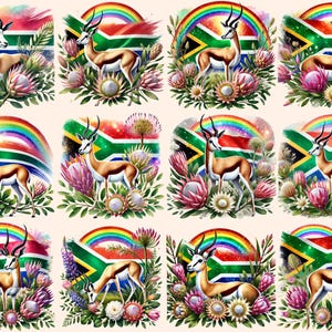 South African Springboks Clipart – 28 PNG Rugby Illustrations (digital ...