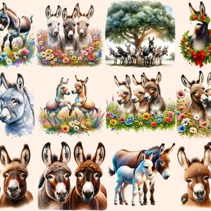 Donkey Friends Clipart - 27 PNG Adorable Donkey Graphics, Cute Adorable ...