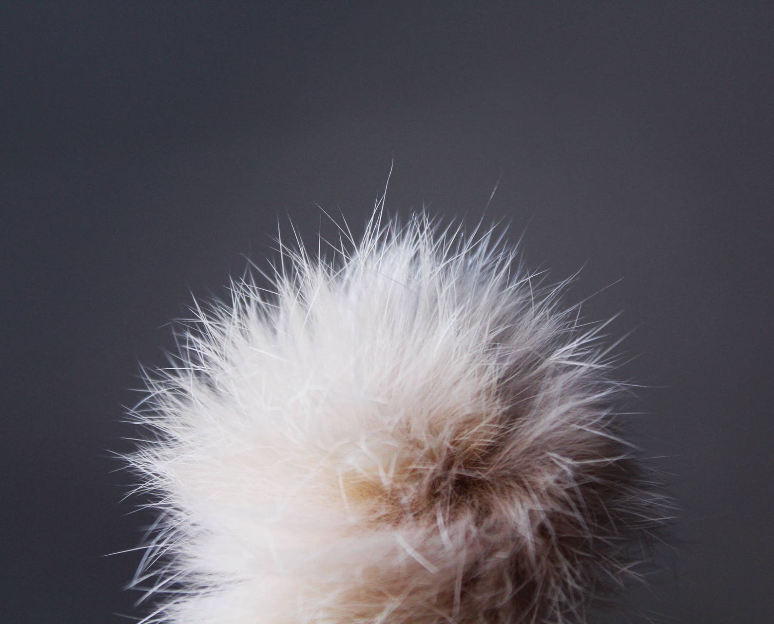 Recycled Fur Necklace Upcycled Jewelry Winter Necklace | Etsy