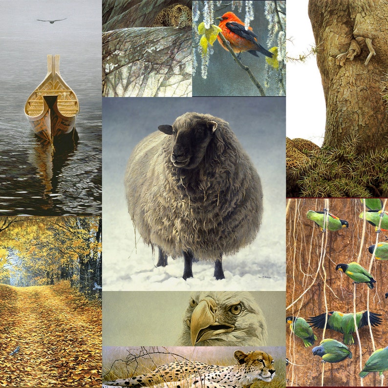 684 Robert Bateman Famous Painting Collection High-resolution Digital ...