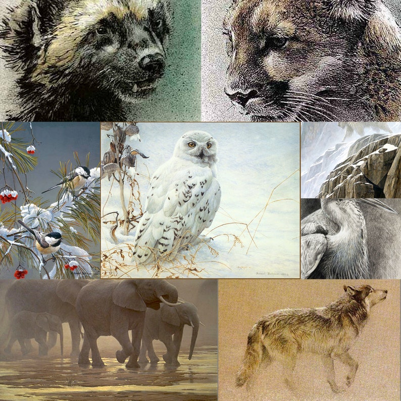 684 Robert Bateman Famous Painting Collection High-resolution Digital ...