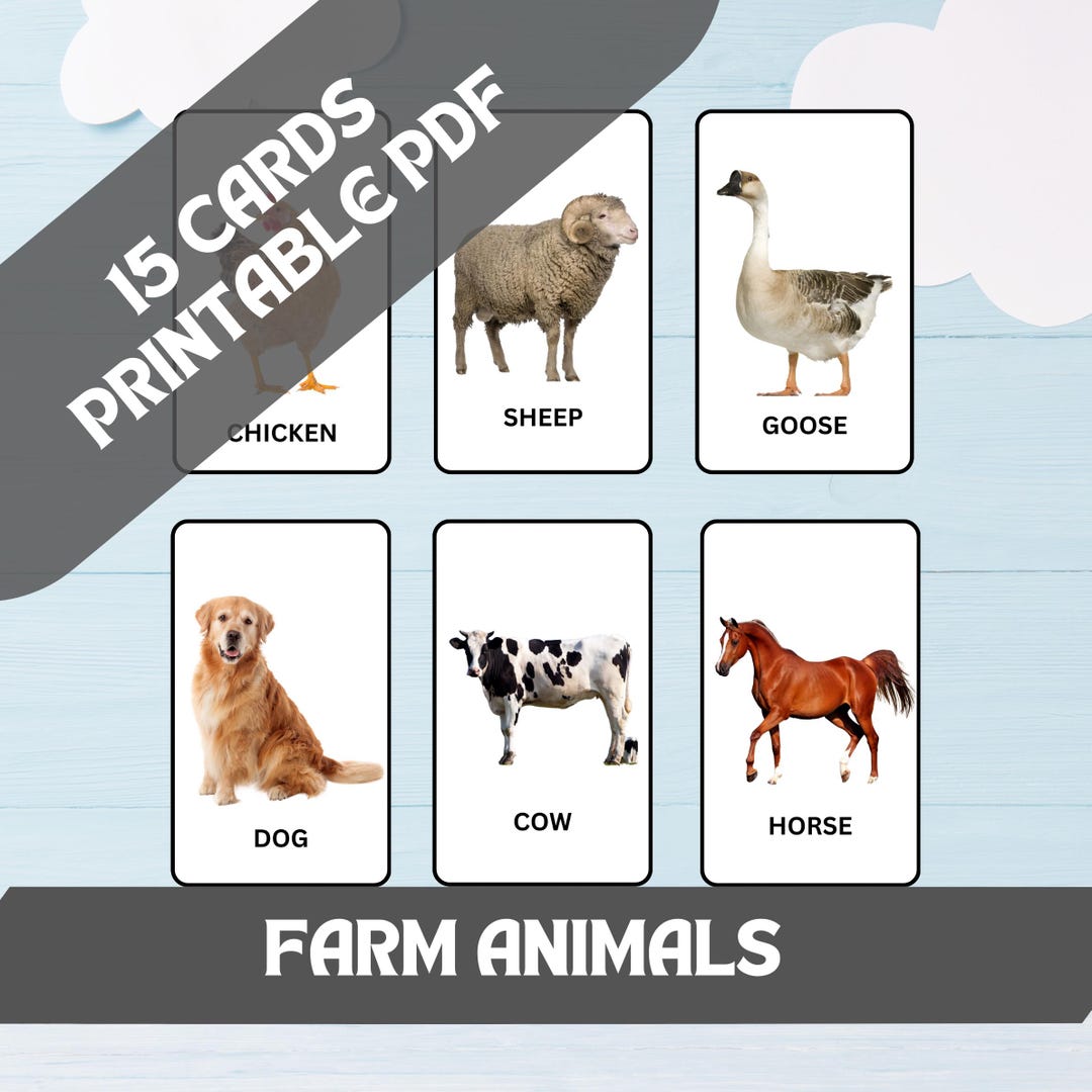 Farm Animals Flash Cards 15 Editable Montessori Cards Flash Cards ...