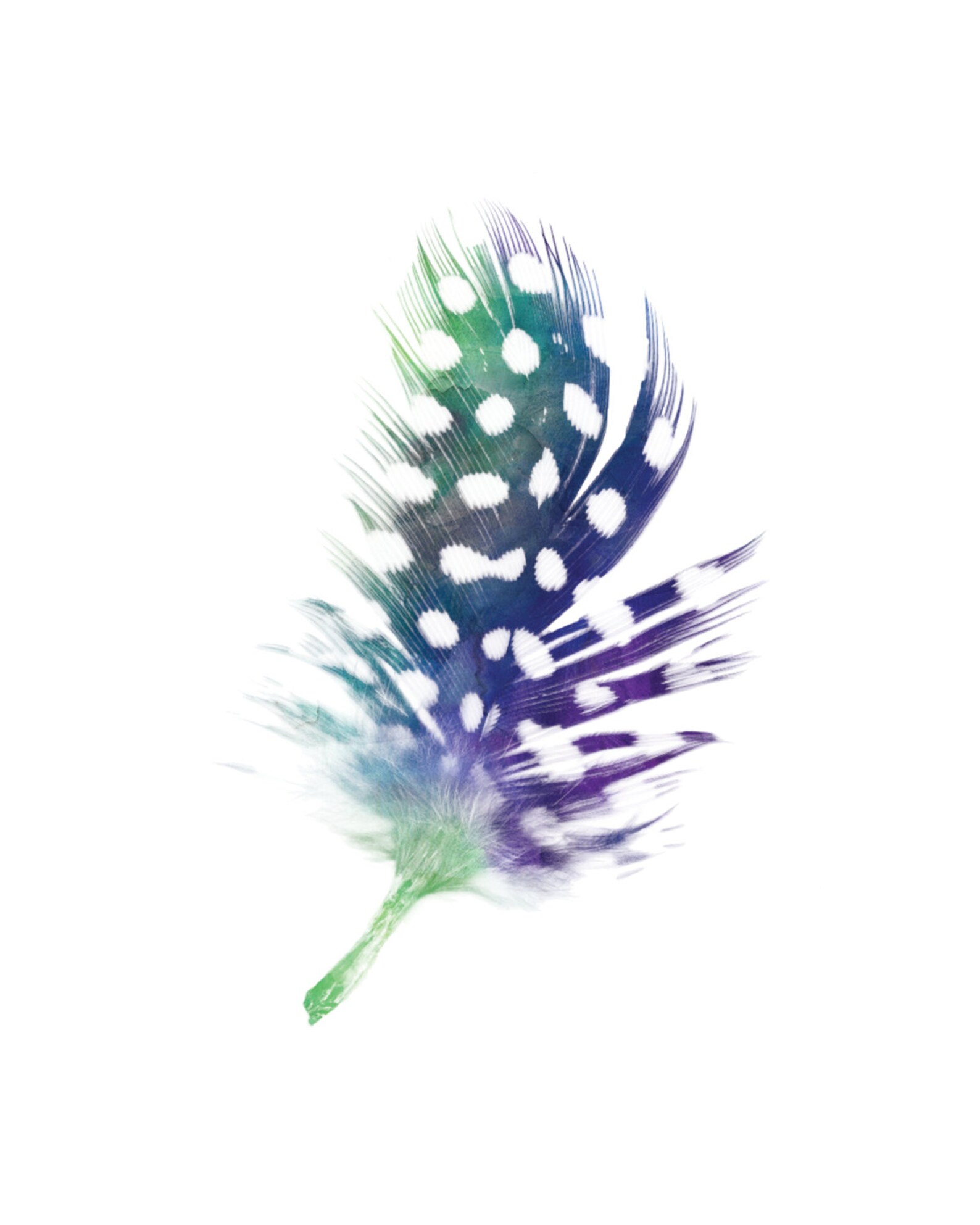 Set of 3 Feather Prints / Colorful Feather Print / Feather Wall Art ...