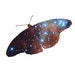 Space Moth Print / Nebula Print / Butterfly Print / Galaxy Print ...