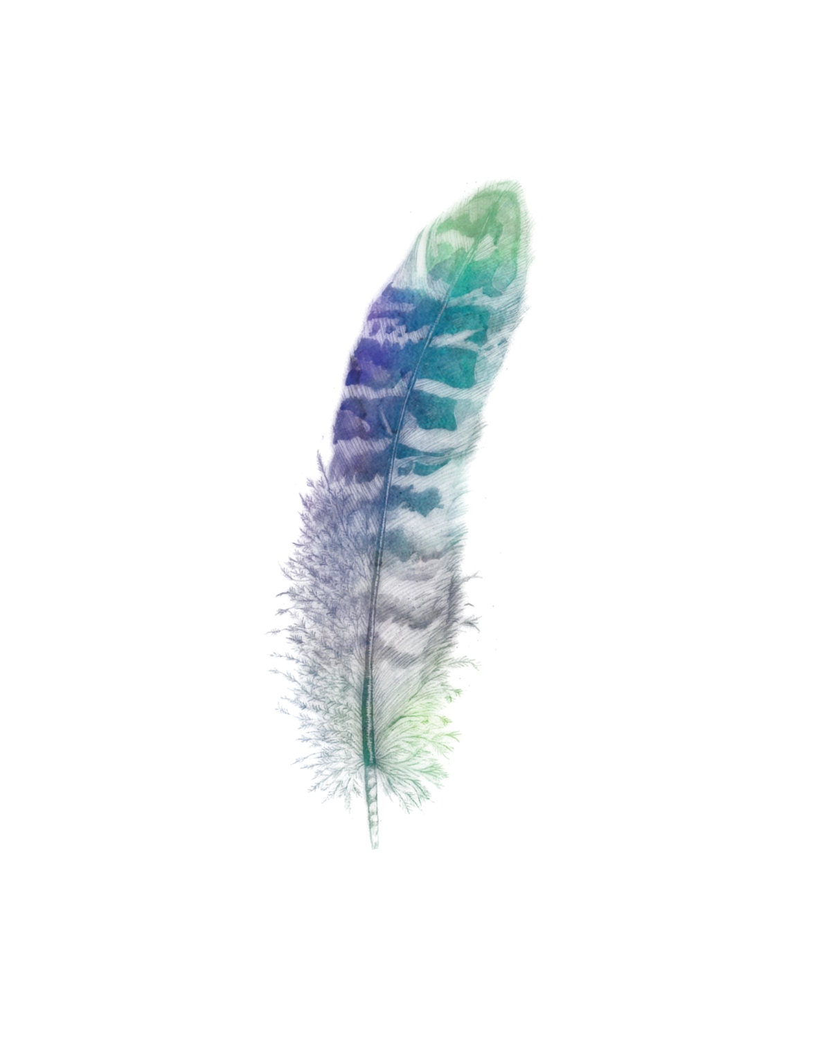 Set of 3 Feather Prints / Colorful Feather Print / Feather Wall Art ...