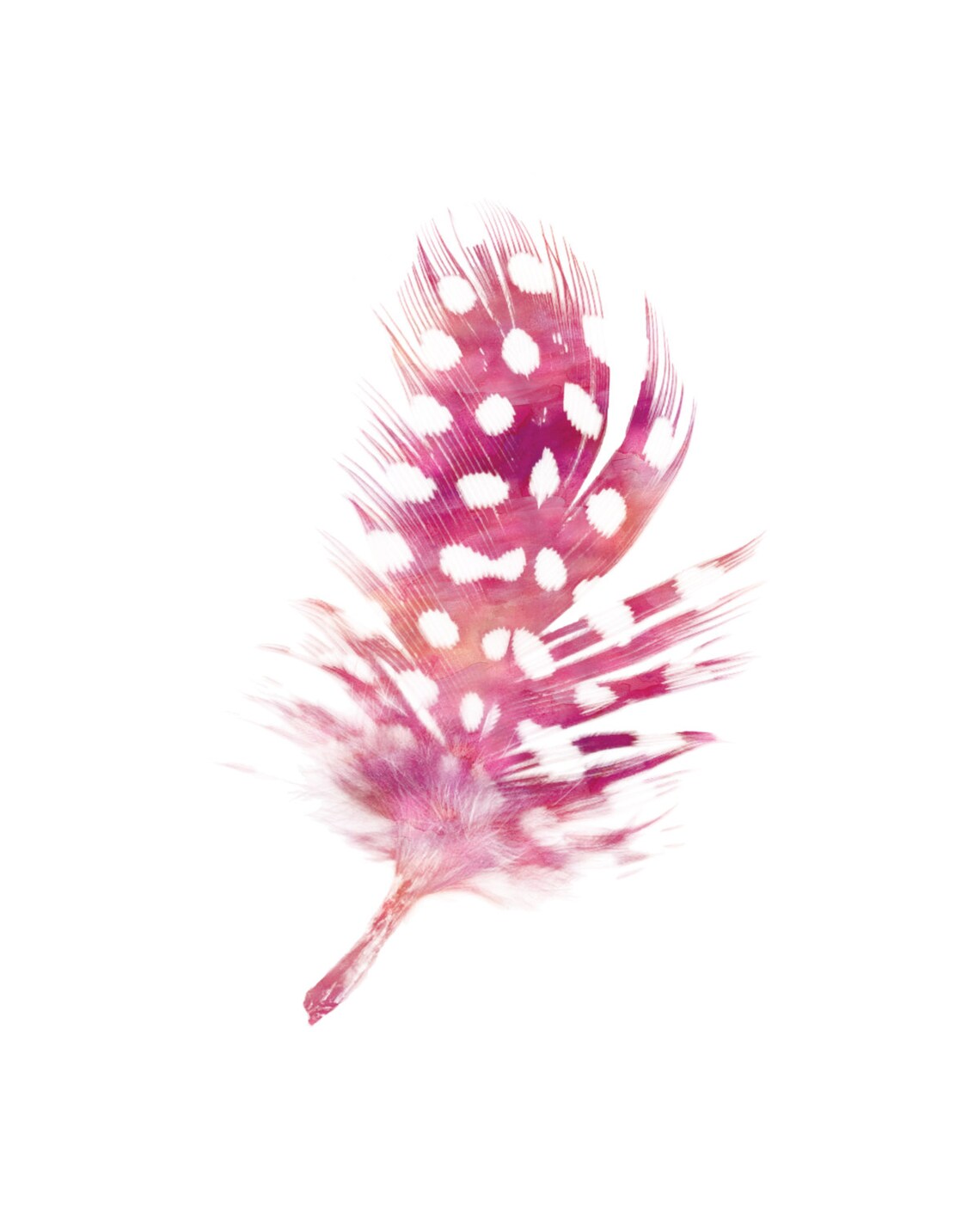 Pink Feather Print Set, Watercolor Nursery Wall Art (digital Download ...