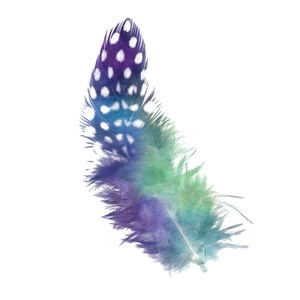 Set of 3 Feather Prints / Colorful Feather Print / Feather Wall Art ...