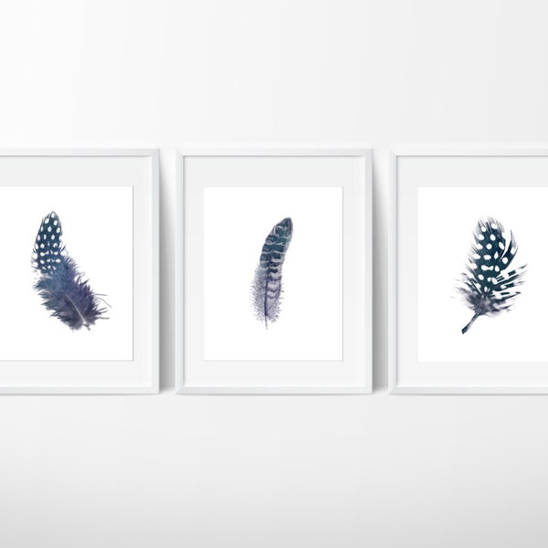 Feather Print - Etsy