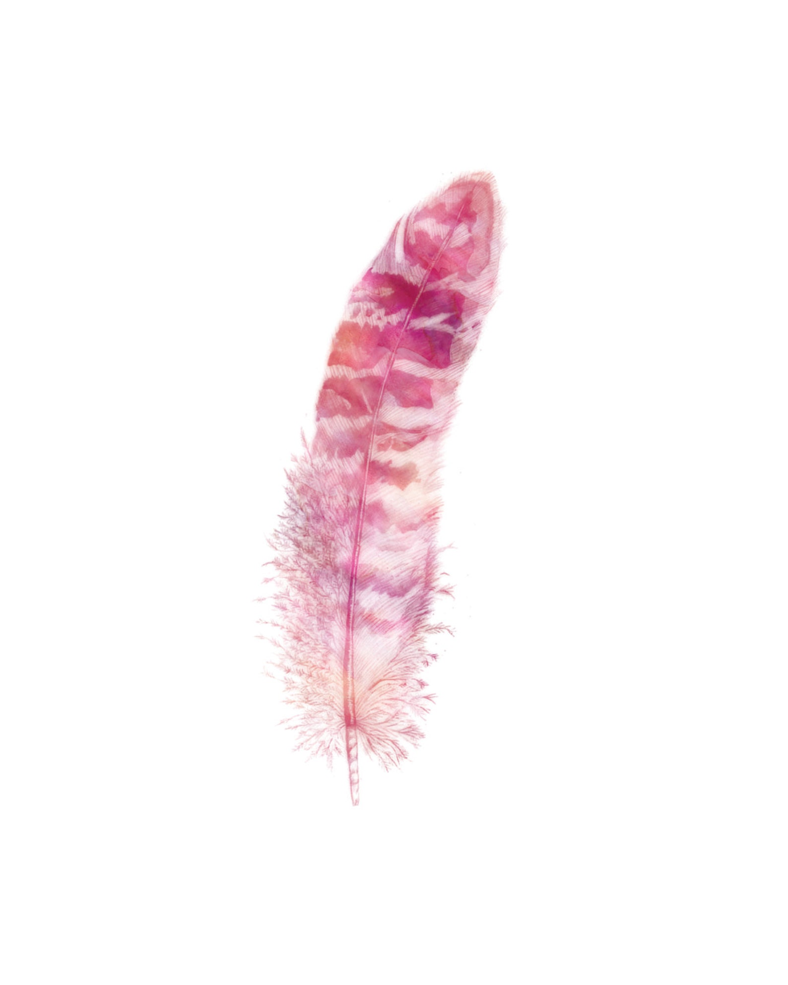 Set of 3 Feather Prints / Pink Prints / Pink Wall Art / Feather Art ...